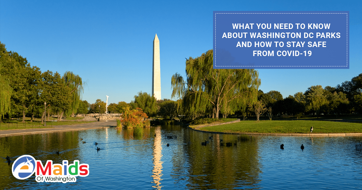 What You Need To Know About Washington DC Parks And How To Stay Safe ...